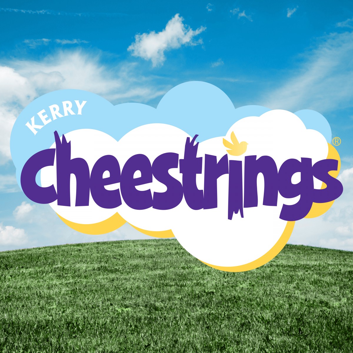 Cheestrings Logo 33 Produkttester Gesucht: Cheestrings Probierpakete